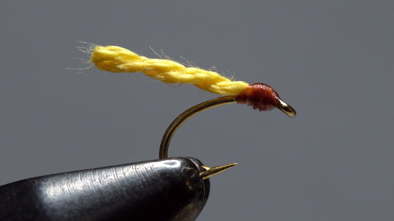 Furled Chimarra Caddis Larva - YouTube