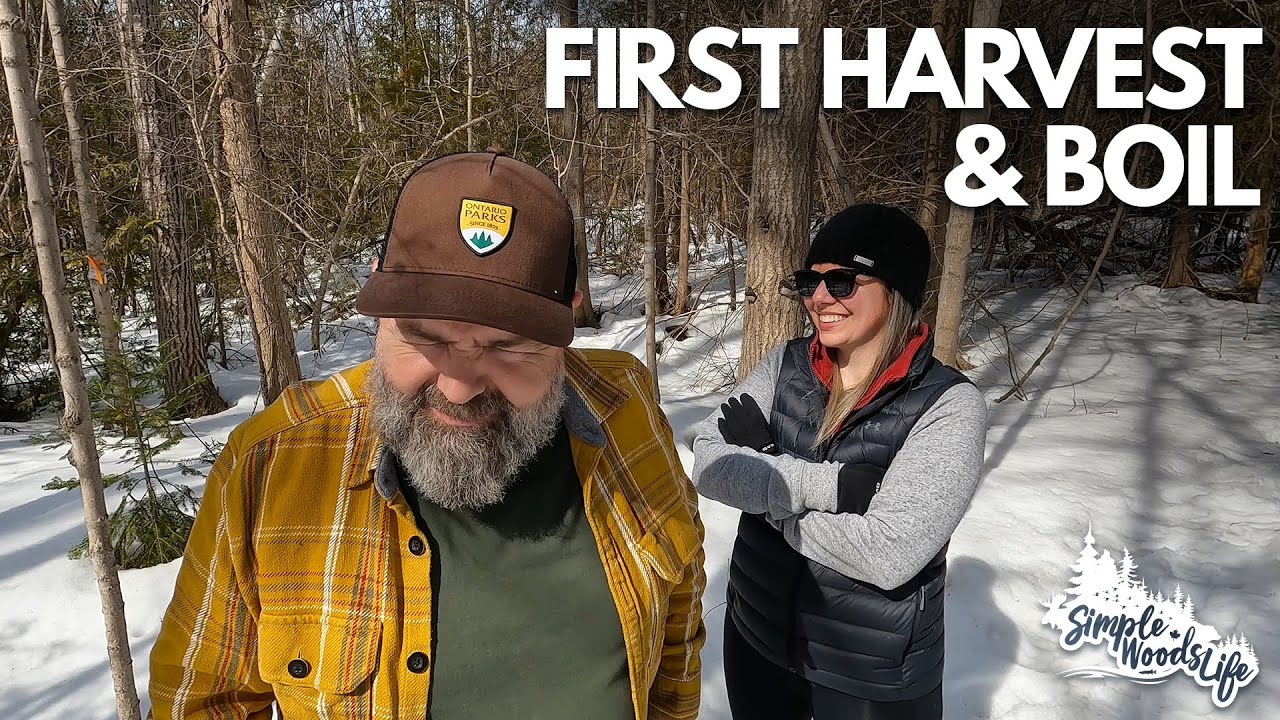Creating Delicious Maple Syrup From The Woods To Table! 🍁 - YouTube