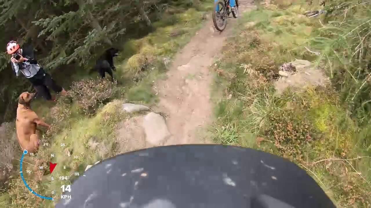 White Lady - Pitfichie - Scotland - YouTube