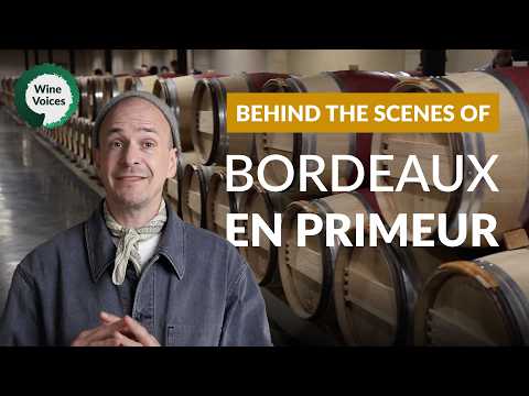 Behind the Scenes of Bordeaux En Primeur with Konstantin Baum MW