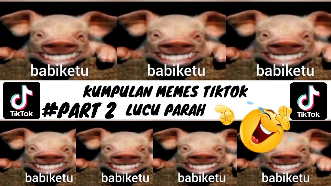 KOMPILASI VIDEO LUCU BABIKETU NGAKAK 2023 || MEME TIKTOK - YouTube