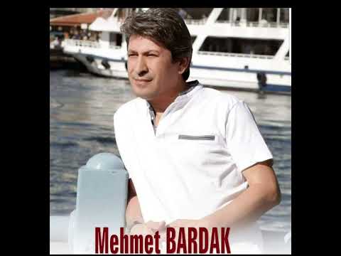 Mehmet Bardak: Salla Gitsin