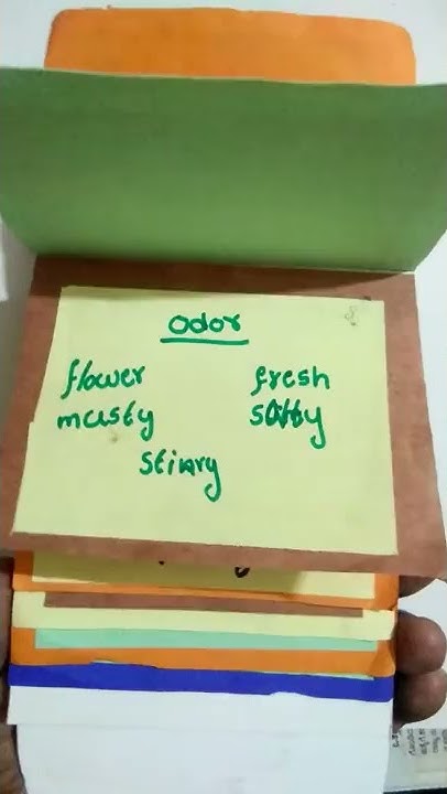 Grammar Flip Book - YouTube