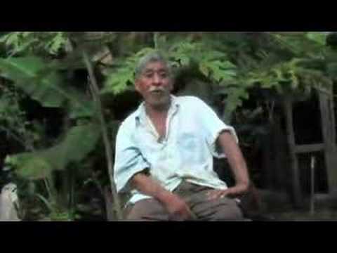 La Cuyancúa - YouTube