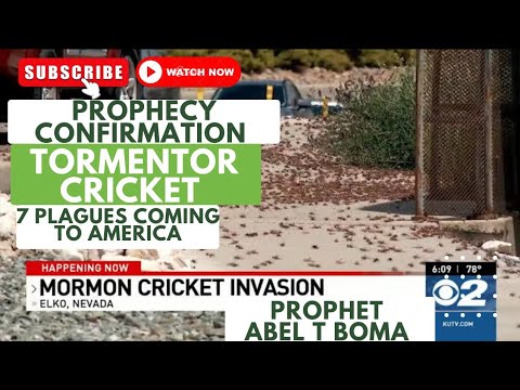 😲 PROPHECY CONFIRMATION MASSIVE MORMON CRICKET INVASION IN NEVADA ...