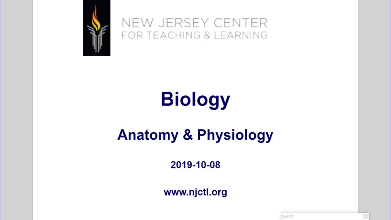 Bio AandP Structure and Function Pt 1 - YouTube