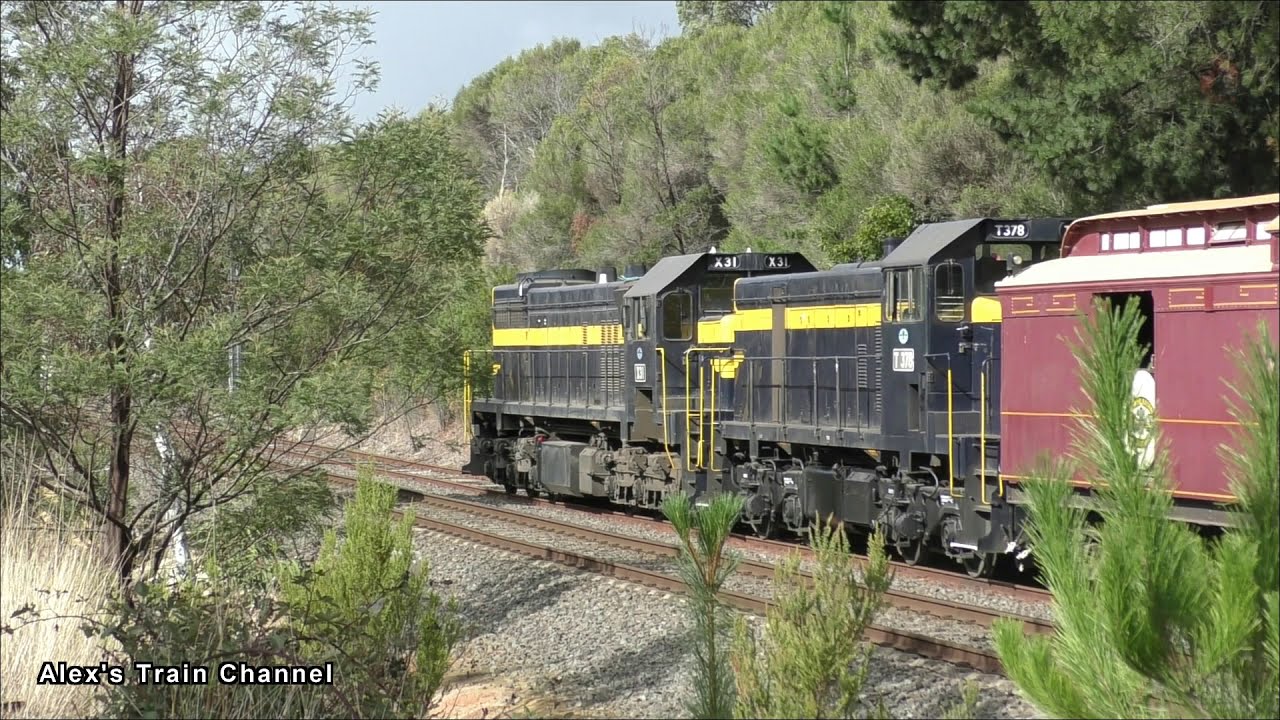 X31 & T378 Traralgon trip - 4/5/19 + V/lines & paper train - YouTube