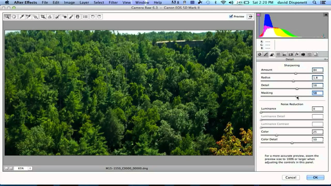 Magic Lantern Raw Series By Media Unlocked Part 3 After Effects Raw ...