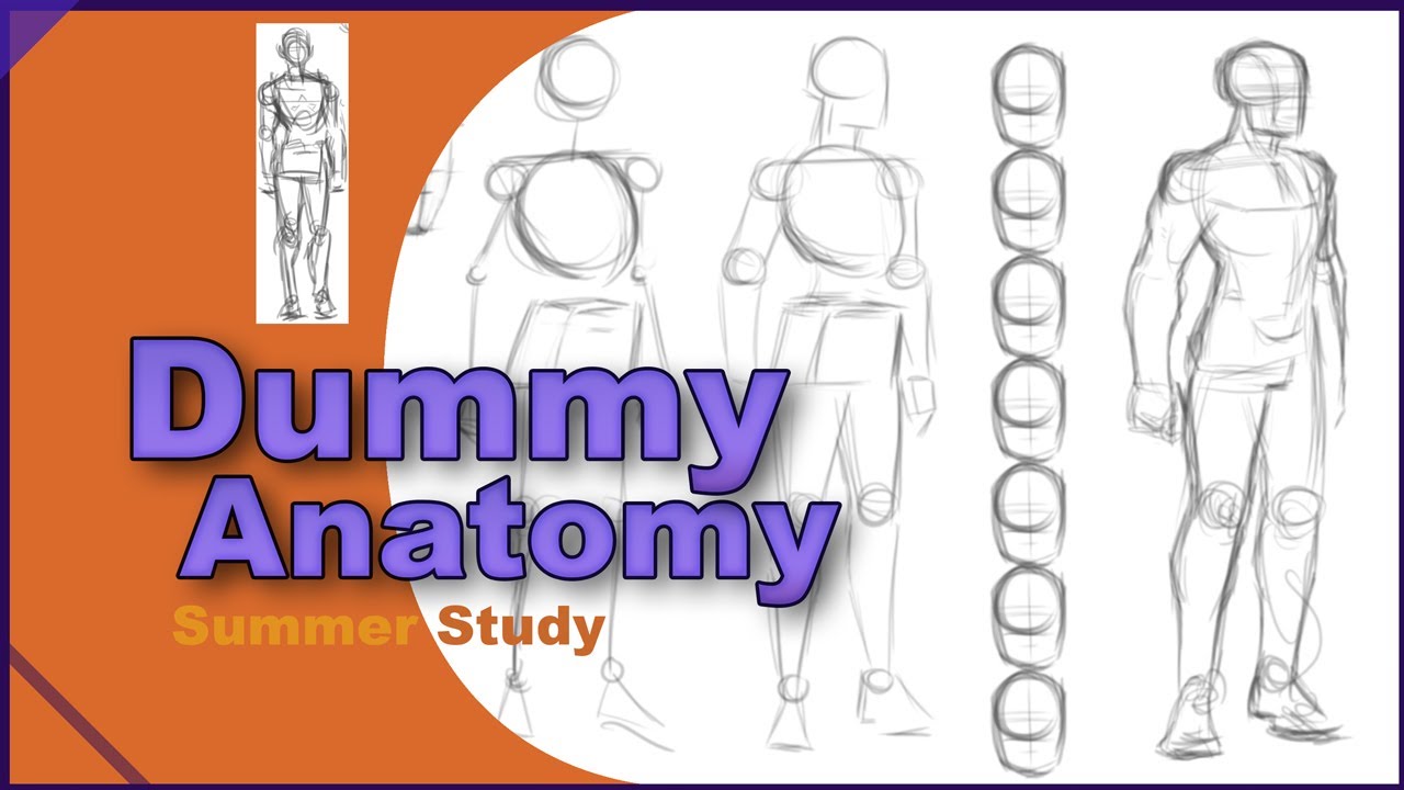 Dummy Drawing for Anatomy Study // Summer Study for Artists Finale ...