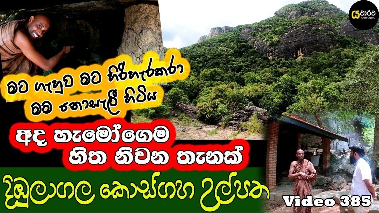 දිඹුලාගල කොස්ගහ උල්පත අභියෝග කෝටියක් මැද අද මම වැඩ ඉන්නව #dimbulagala # ...