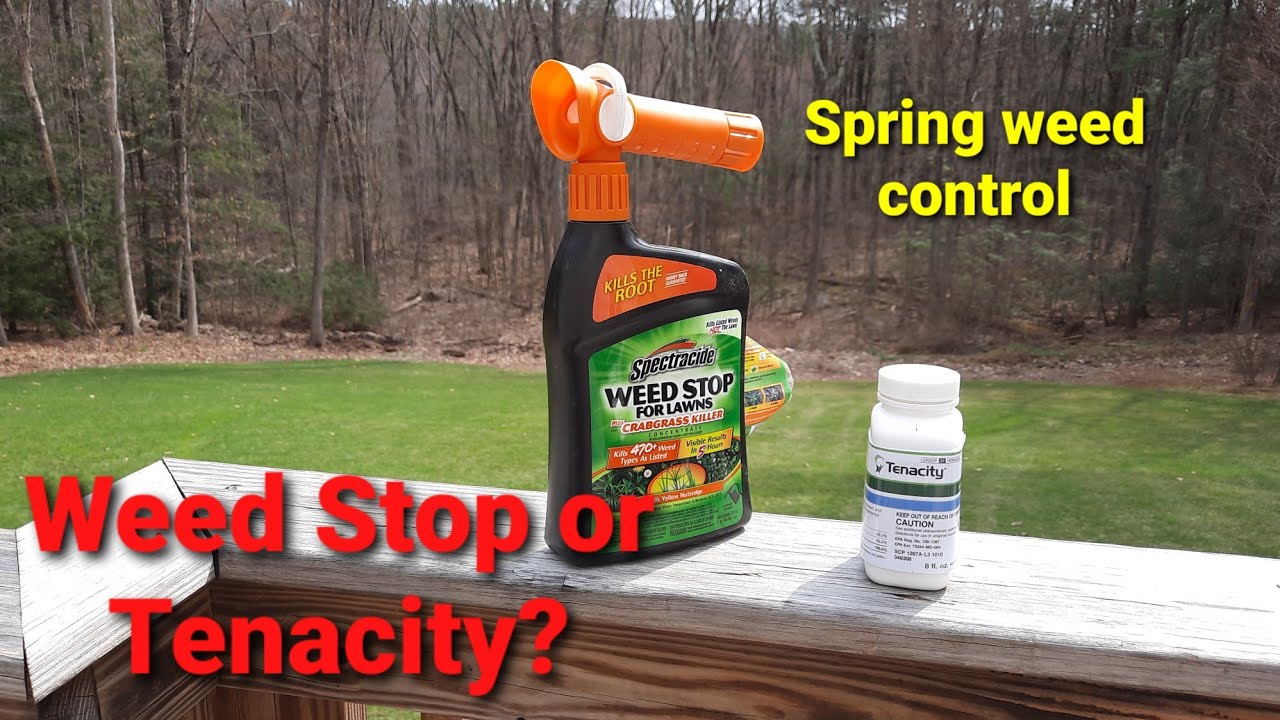 Tenacity Herbicide For Post Emergent Weed Control - YouTube