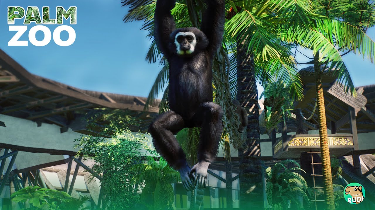 Gibbon Center | THE PALM: ZOO 02 - A Tropical House Planet Zoo - YouTube