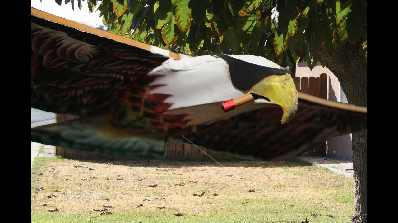 Plate Eagle Panying Progress #2 Some ROC Kites also fly - YouTube