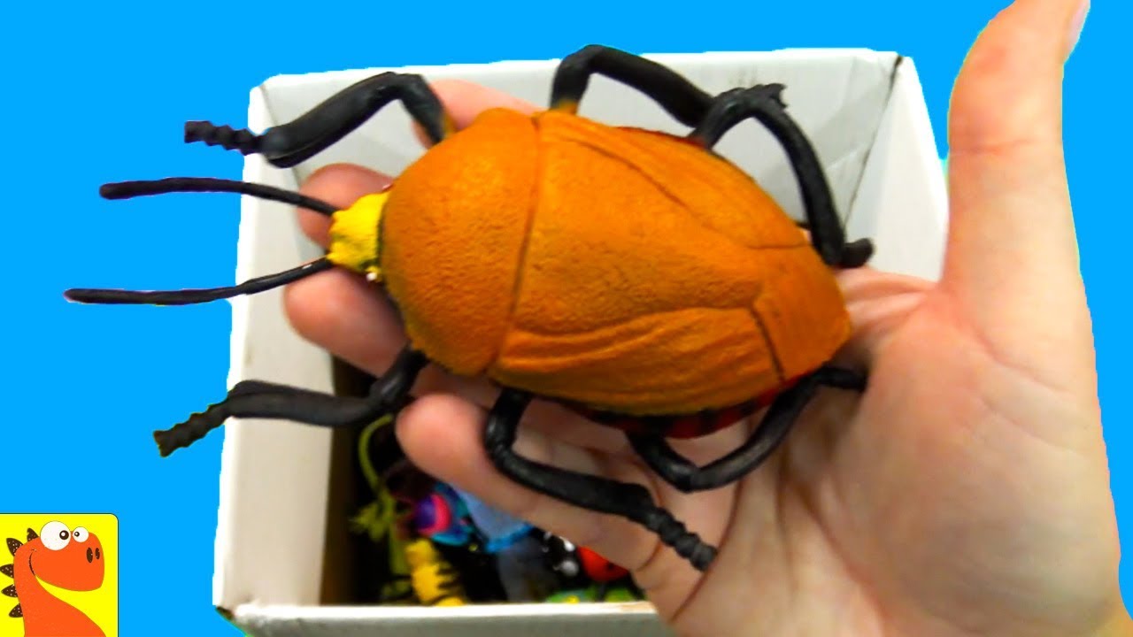 Learn INSECT Colors! Learning Color Names in English by Gogo Dino - YouTube