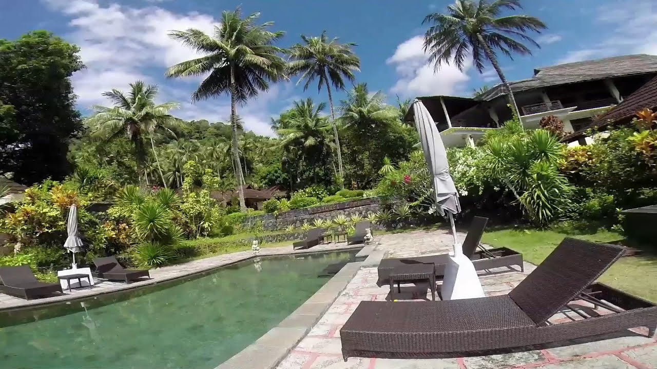 Diving in Lembeh Strait, Best of - HD - YouTube