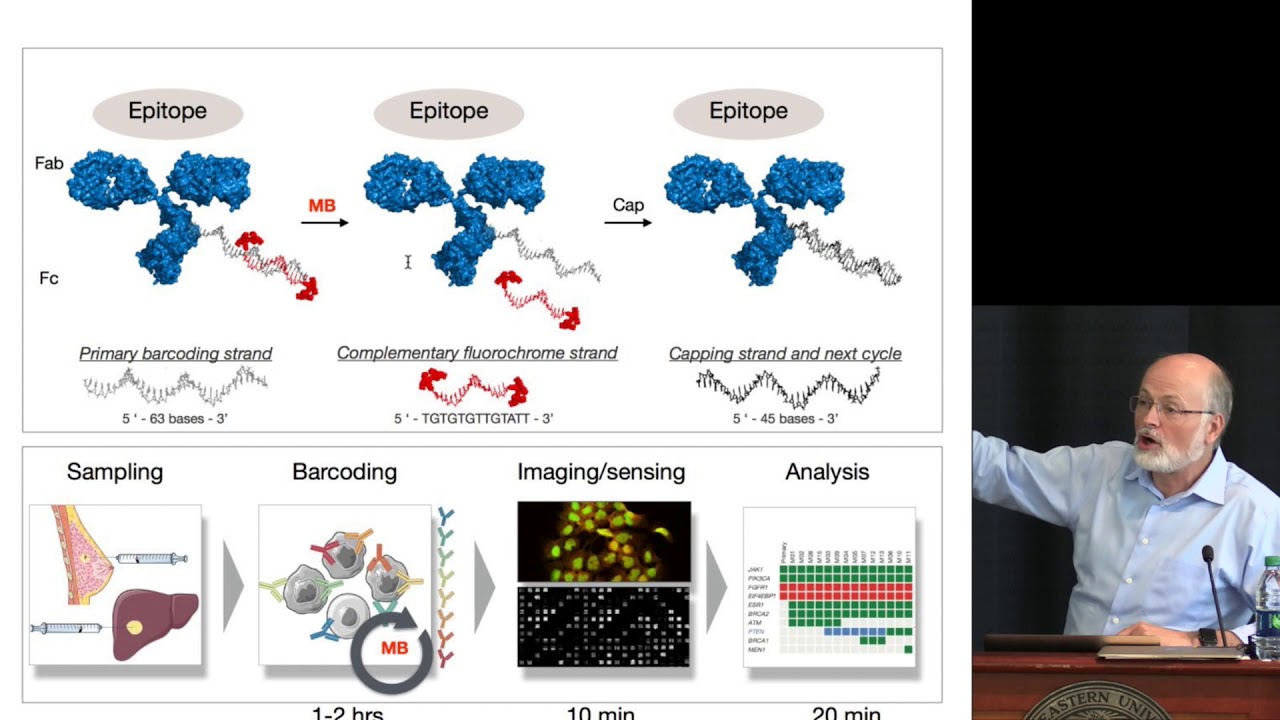 Single cell analysis from a clinical perspective | Ralph Weissleder ...