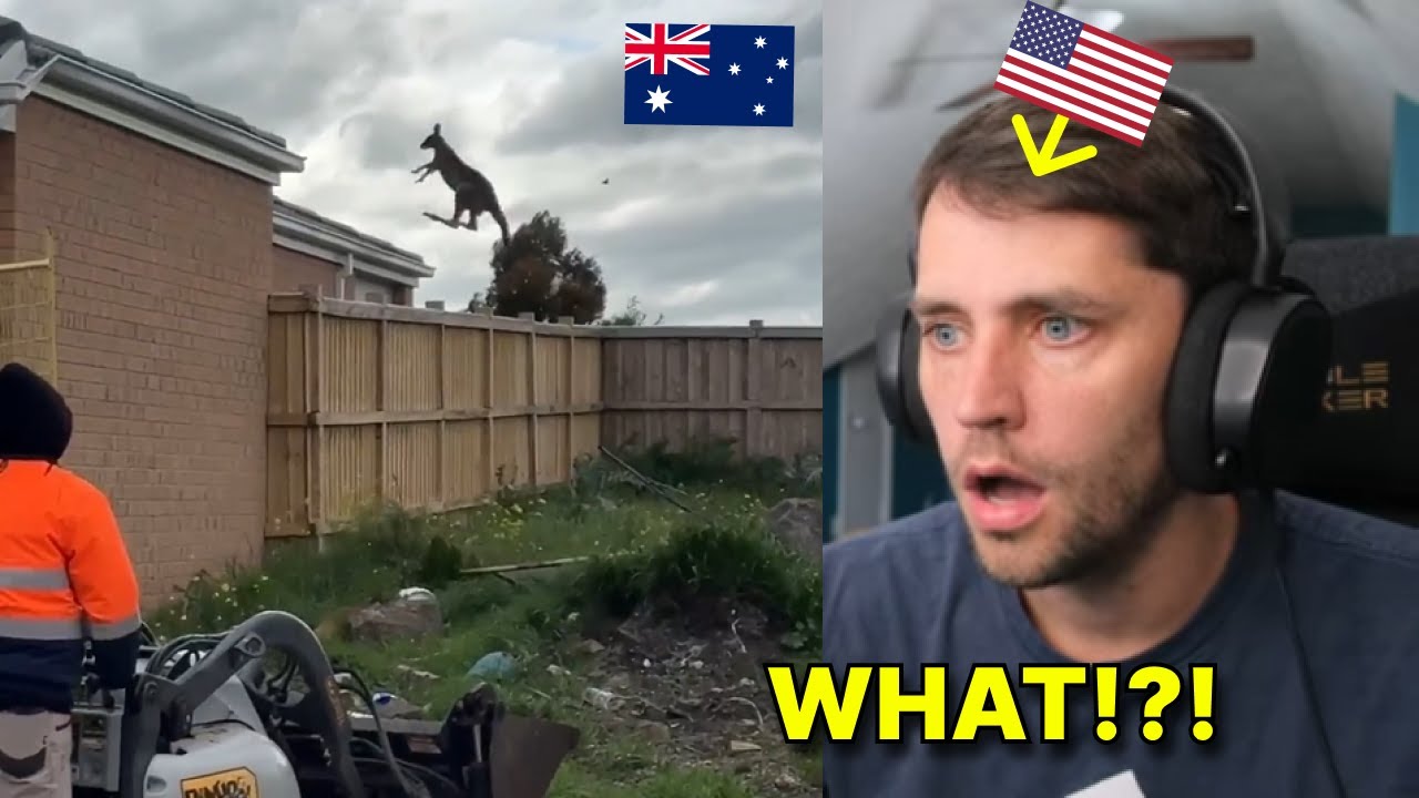 THIS WEEK IN AUSTRALIA [86] - YouTube