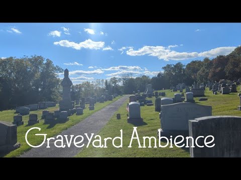 Ambient Graveyard During Sunny Day | 10 Hours - YouTube