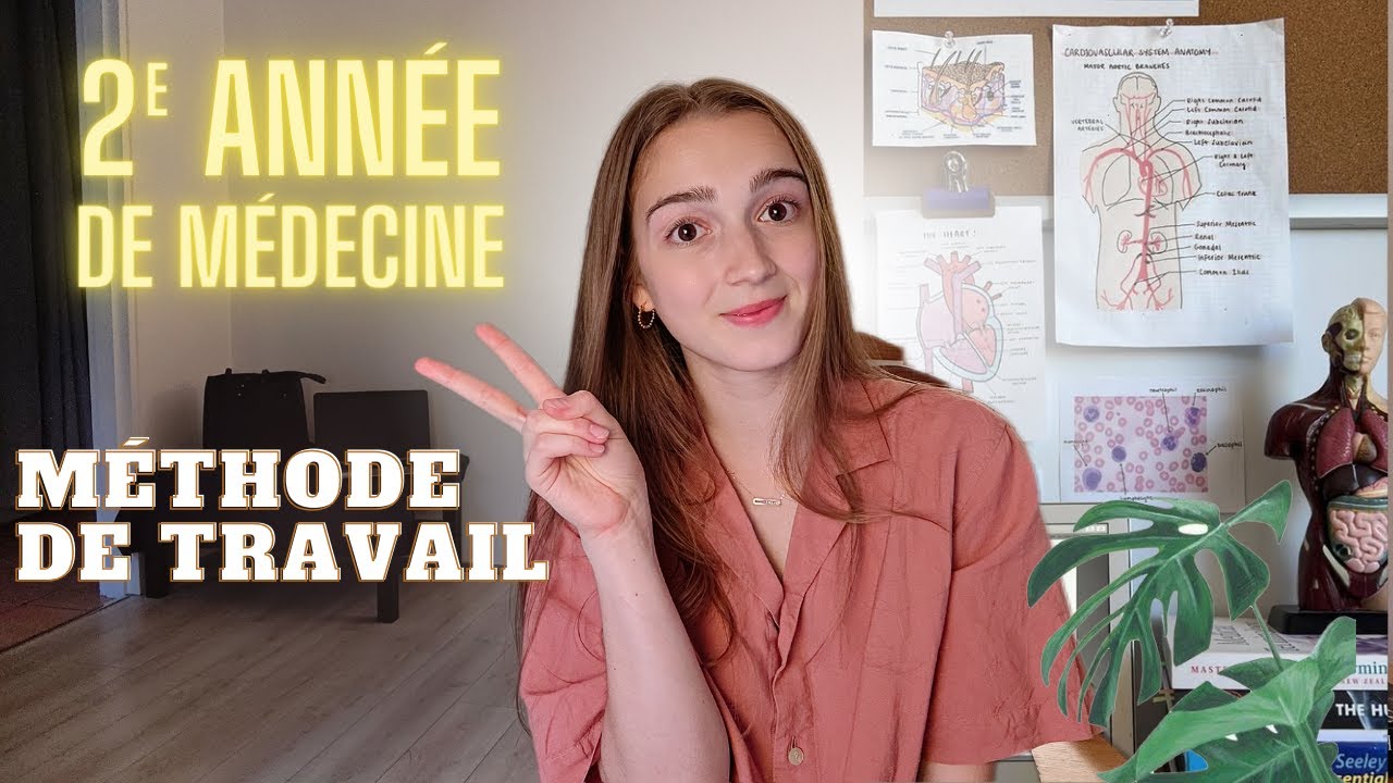 Ma méthode de travail en 2ème année de médecine (organisation, conseils ...