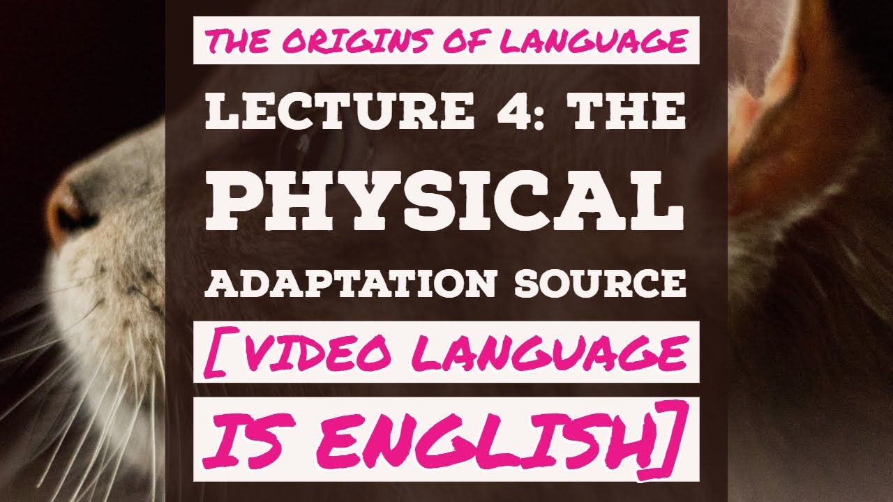 Lecture 4 The Physical Adaptation Source Of Language English Lecture 4 The Physical Adaptation Source Of Language English