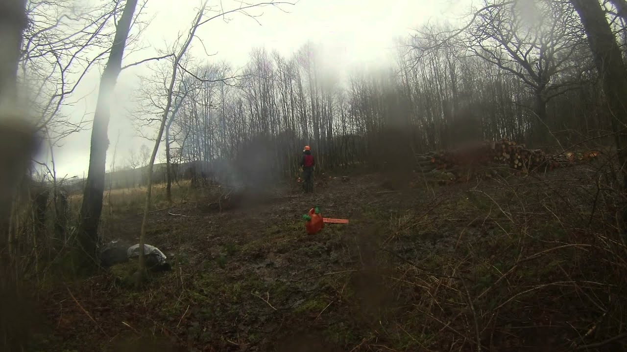 tree felling and burning in wetlands - YouTube
