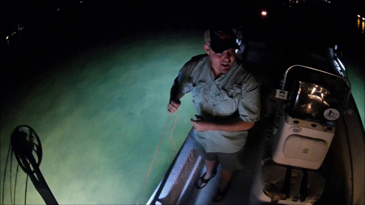 Bowfishing Stingray in Orange Beach, AL w/ Liquid Trails - YouTube