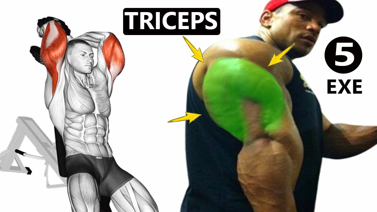 Want Bigger Arms ? Target Your Triceps ! - YouTube