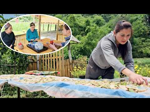Vọng has returned to the traditional medicine methods she inherited