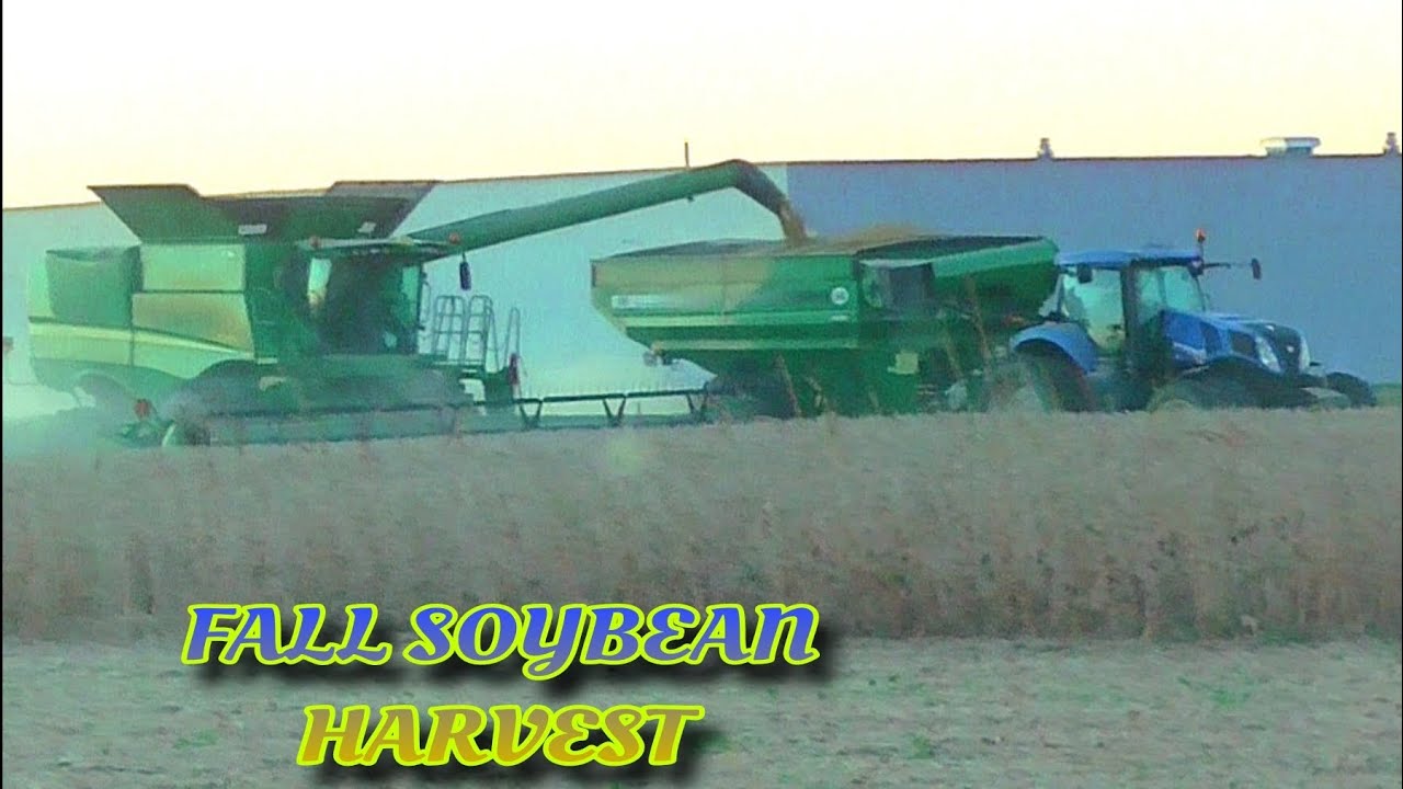 FALL 2023 SOYBEAN HARVEST JOHN DEERE s670 COMBINE HARVESTING SOYBEANS ...