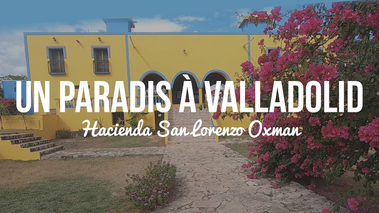Hacienda Oxman à Valladolid: Cenote et Hacienda au même endroit ...