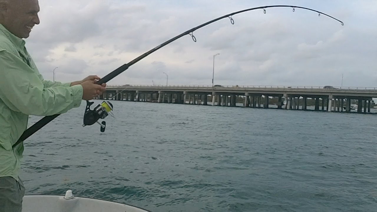 Intense Deep Sea Fishing - Huge Fish Jump - YouTube