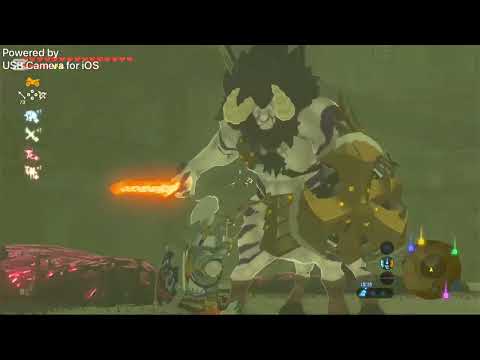 실버라이넬 컷 (야숨)