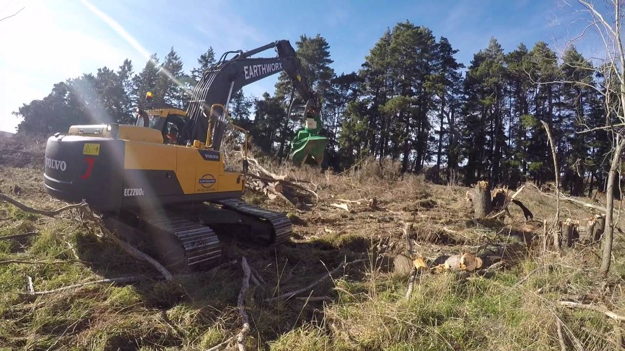 Tree Shear Video - YouTube