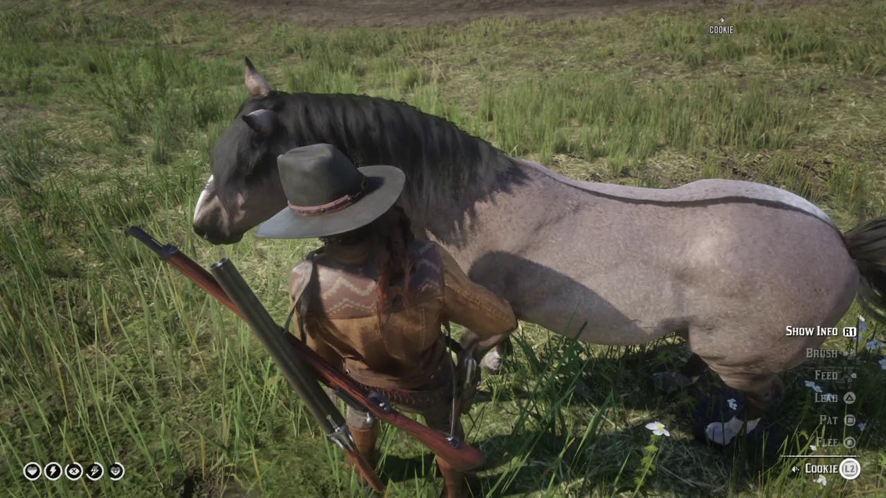 Red Dead Redemption 2 Criollo Dun Bareback - YouTube