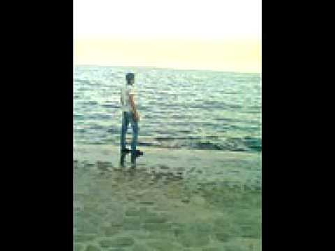 tapdiq yalniz erzuruma gel