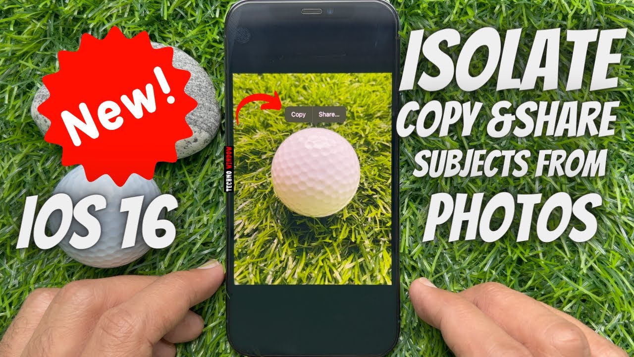 How To Isolate Copy And Share Subjects From Photos On IPhone IOS 16 How To Isolate Copy And Share Subjects From Photos On IPhone IOS 16