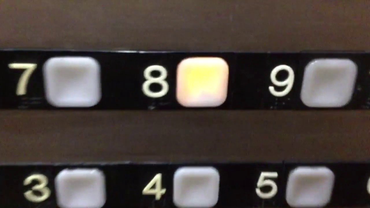 Custom Dover Impulse Traction Internal Elevators At The Park Vista By ...