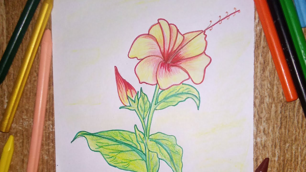 How to draw colourful gudhal flowers for beginners 🌺#youtube video #art ...