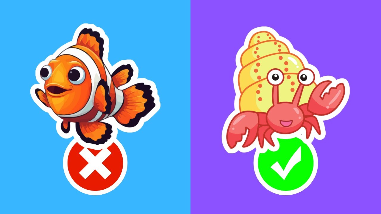 Guess The Whale Shark, Orca, Hermit Crab, Clown Fish, Bluecheek ...