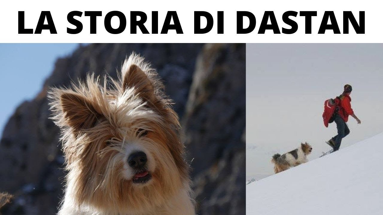 La storia di Dastan - YouTube