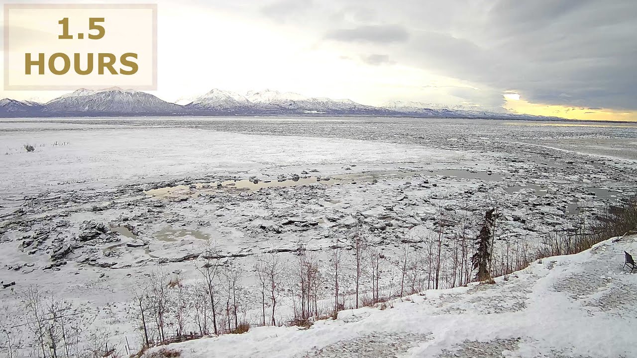 A Journey Through Time: Palmer Hay Flats vol. 13 - YouTube