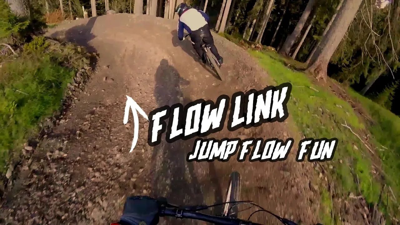 Freeride, Flow & Fun I 🔴 Flow Link Leogang I Bikepark Leogang | 4K | GoPro Session 4 | POV - YouTube