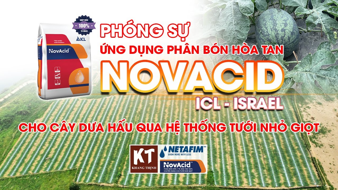 ỨNG DỤNG PHÂN BÓN HÒA TAN NPK NOVACID ICL - ISRAEL CHO CÂY DƯA HẤU QUA ...