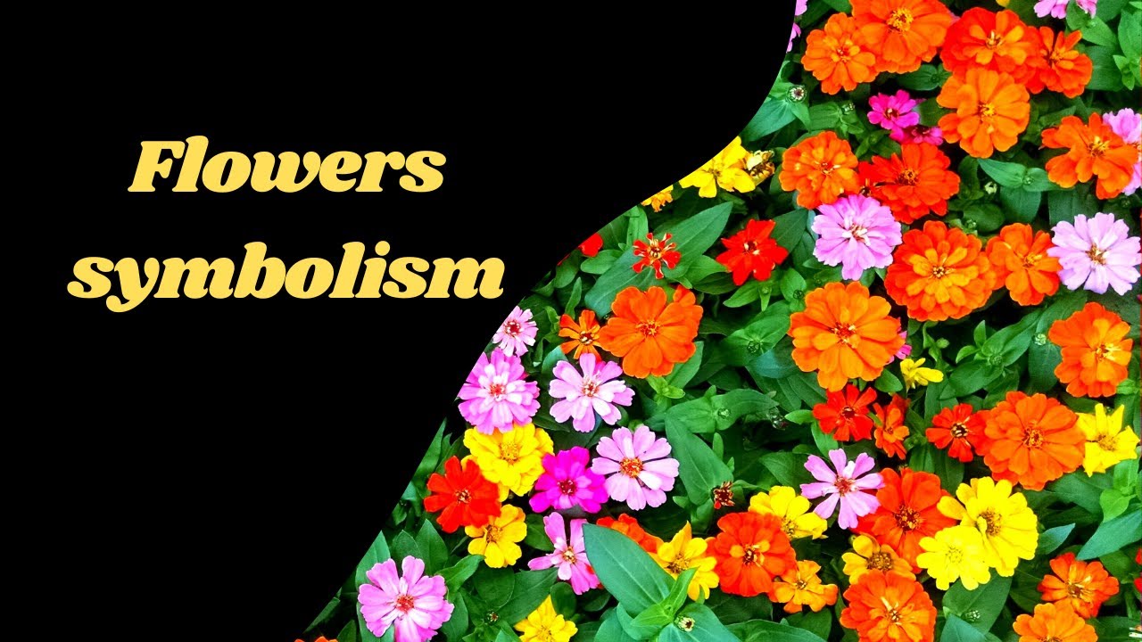 Flowers symbolism: spiritual language, symbolic meanings - YouTube