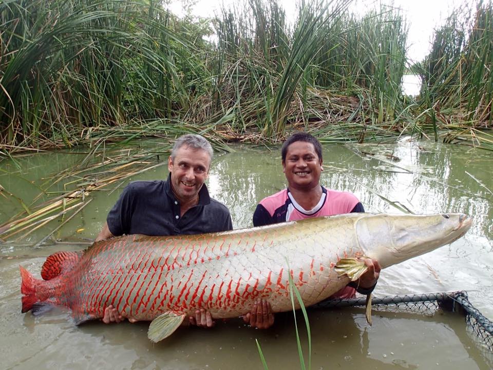 Wrestling with Monster Fish in Thailand - YouTube
