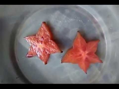 Pickled Carambola / Kamrakh / Star Fruit - YouTube