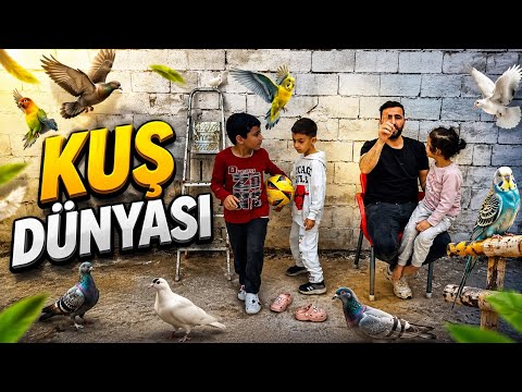 Kerem ile Ayşecik kuş dünyasında .. 😍😍