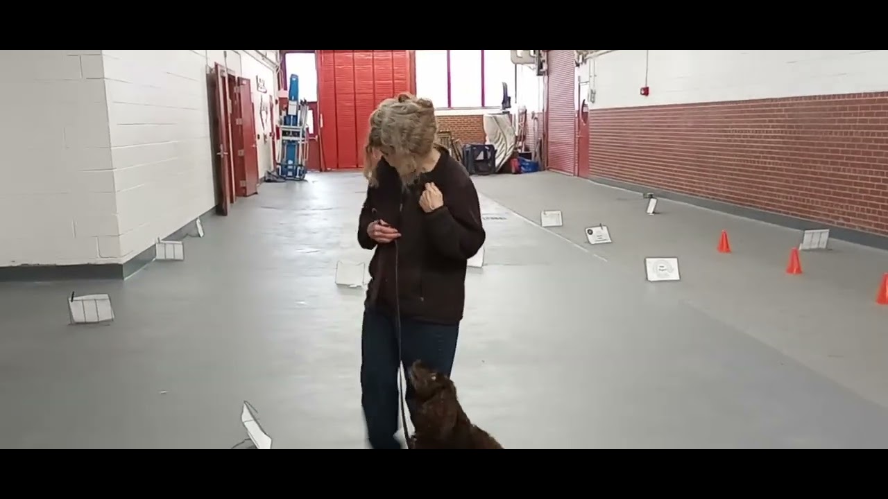 Ruby AKC Rally Intermediate #2 - YouTube