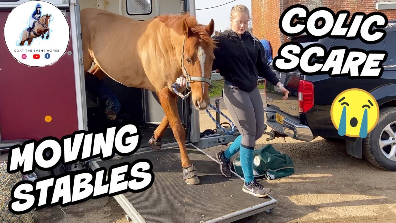 MOVING STABLES + COLIC SCARE | GOAT THE EVENT HORSE - YouTube