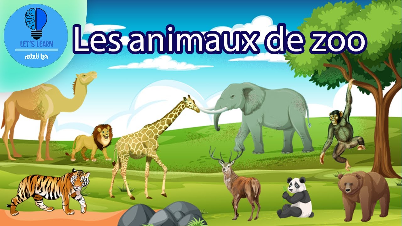 Zoo animals / Animaux de zoo / حديقة الحيوانات / Let's learn - YouTube